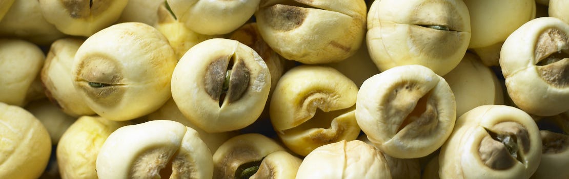 Lotus seeds: Do they contain the ultimate prebiotic? | by Research ...