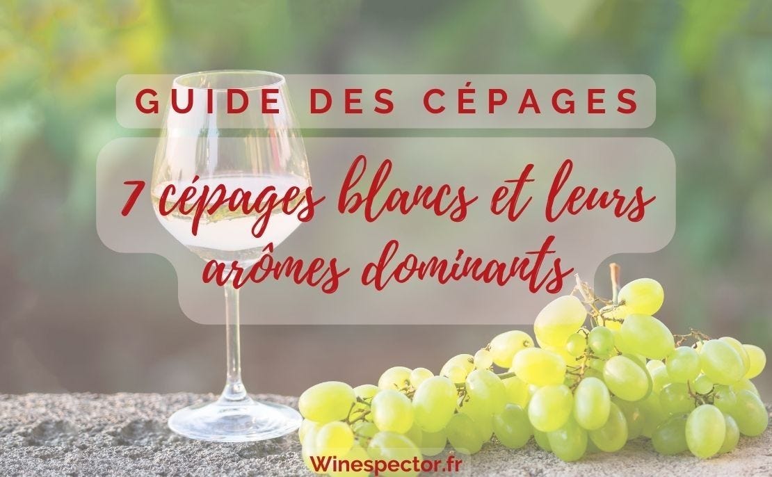 7 Cépages Blancs et Leurs Arômes Dominants | by Nicolas de Winespector ...