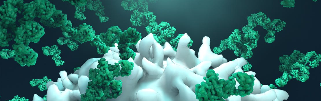 The role of protective immune genes in cancer disparities | by Research ...
