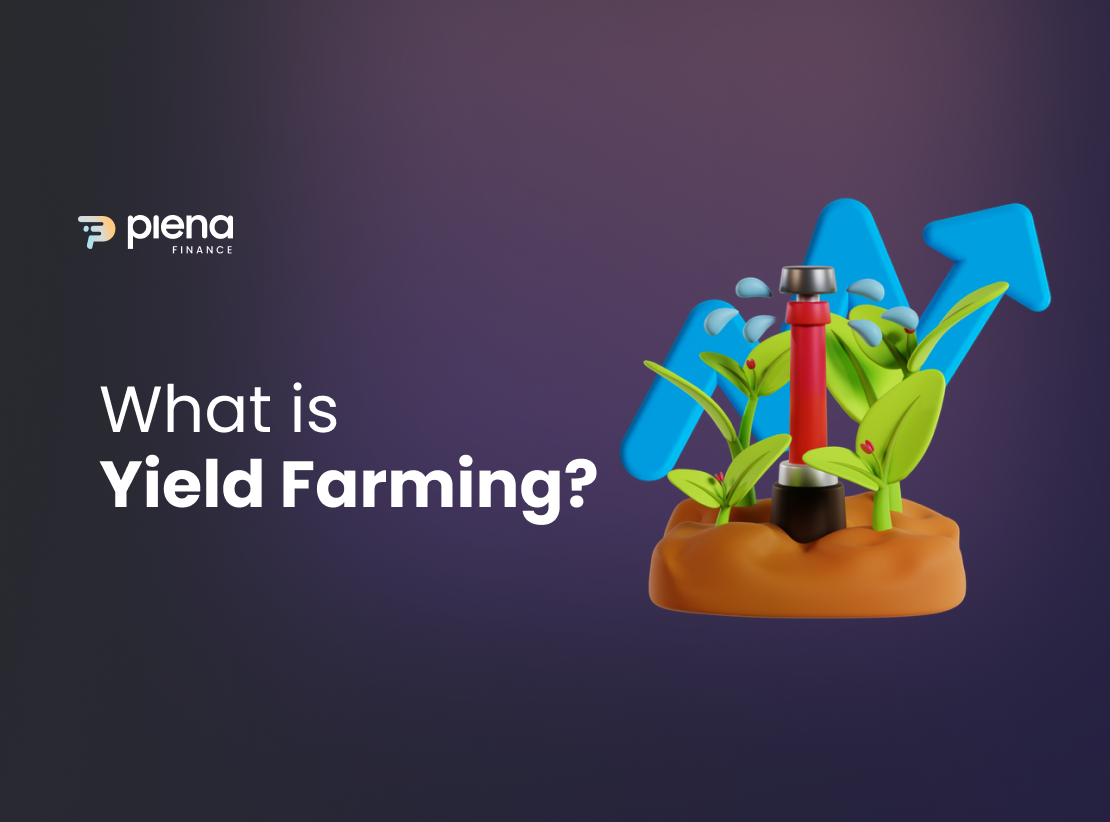 Together with Plena we will learn what Yield Farming is | by sinceFSX | May, 2024 | Medium