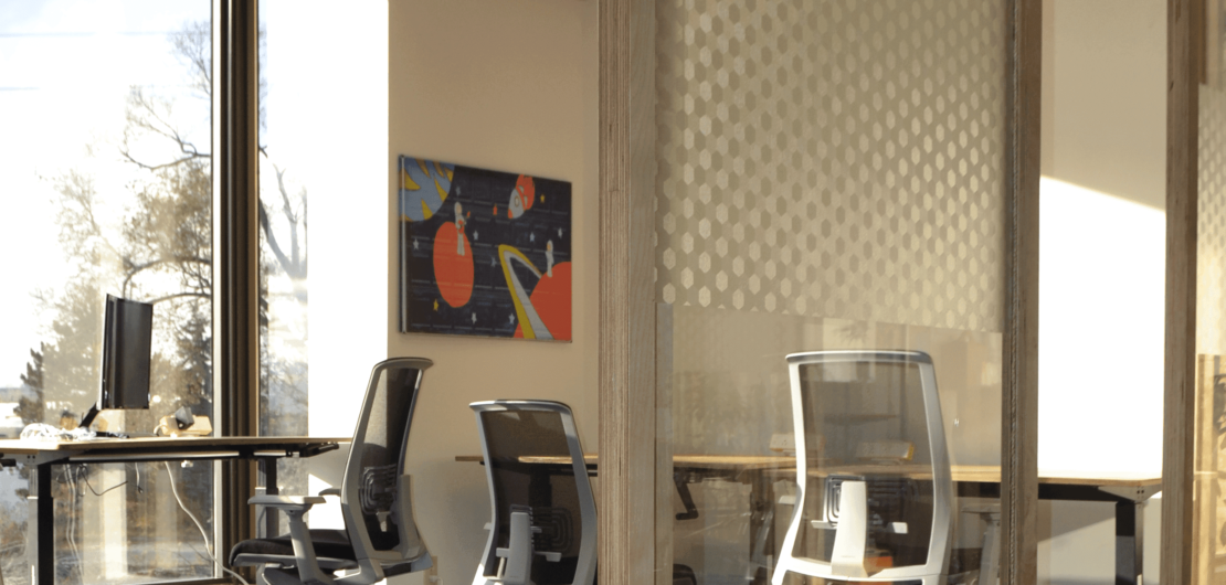 Story about the Baltic Birch, Bees, Hive and Why | by Hivers Workspaces ...
