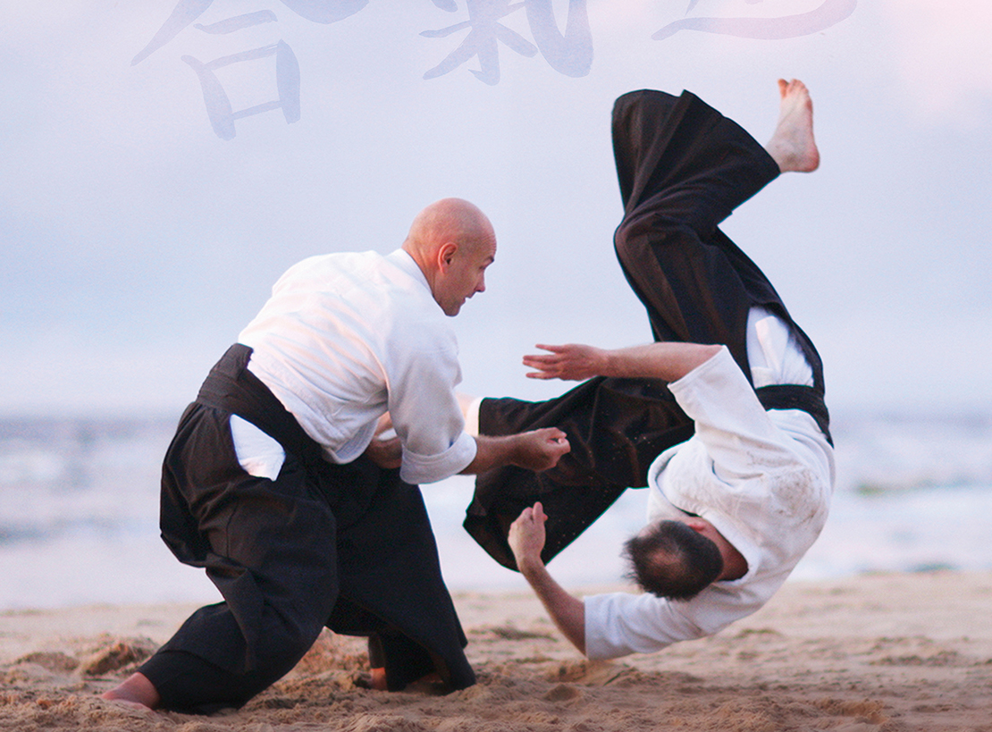 Aikido Art