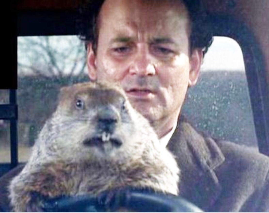 The ‘Groundhog Day’-ness of Grief | by Woman of a Certain Rage | Medium