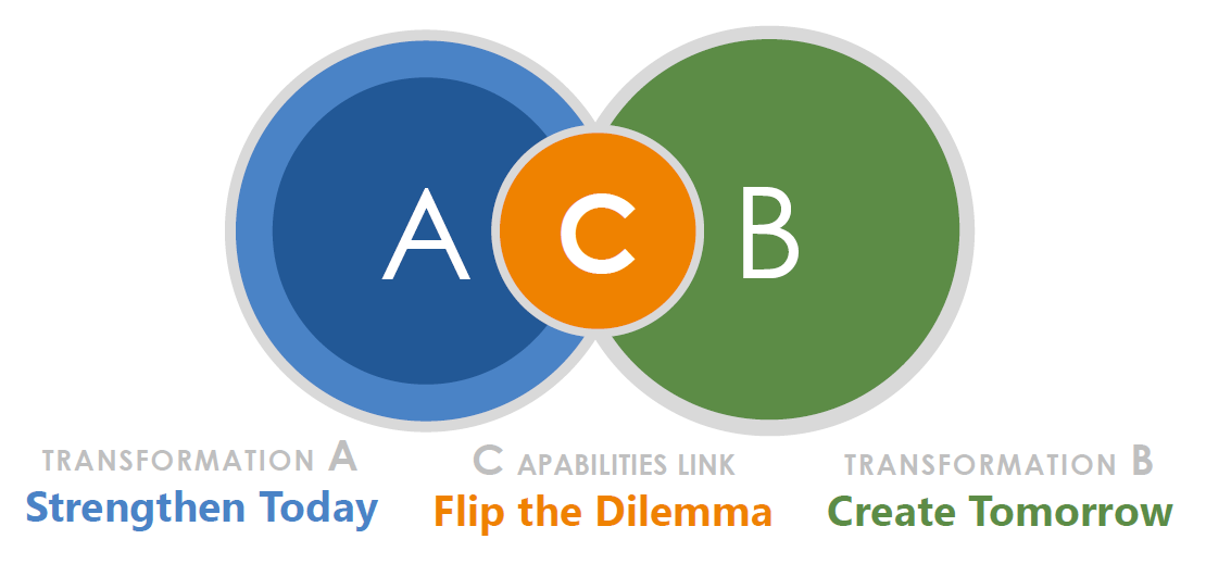 Dual Transformation — Multi-Million Lessons from the Internet’s First ...