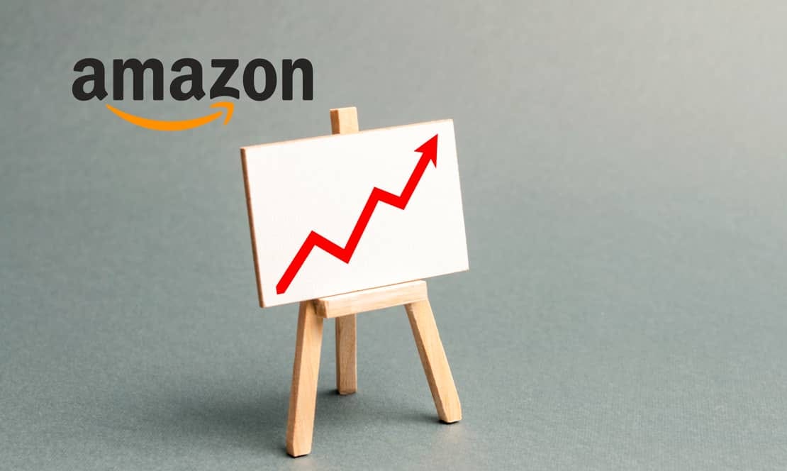 How to Know the Profitability and Revenue on Amazon | by Vidyullatha Matcha | Amazon Selling ...