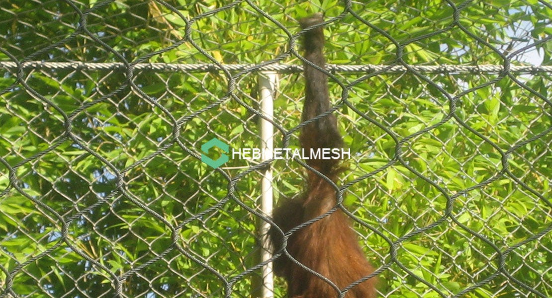 The Quintessential Role of Zoo Mesh in Wildlife Conservation | by ...