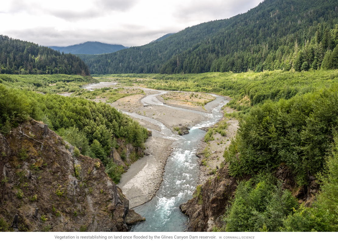 After the Flood. AAAS: “After the Flood,” The US leads… | by S. W ...
