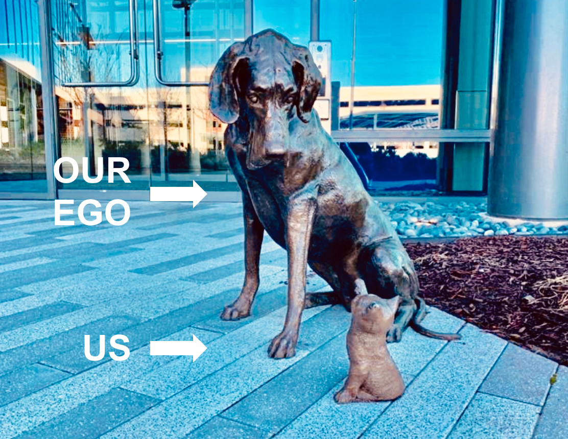 Do You Need To Sit Down With Your Ego By Adam Slawson Medium