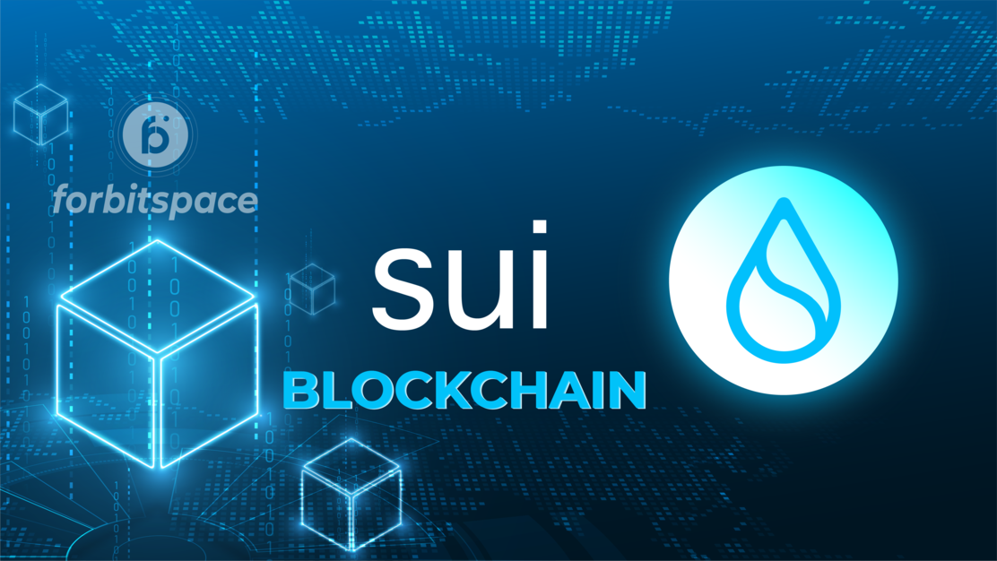 What Is Sui? Overview Of The New Potential Blockchain | by space.hilary ...