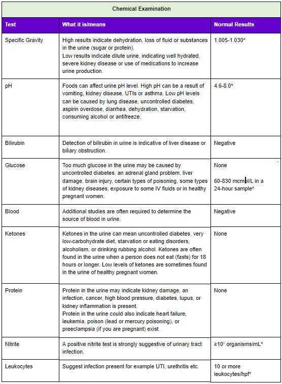 Sample Urinalysis Uti