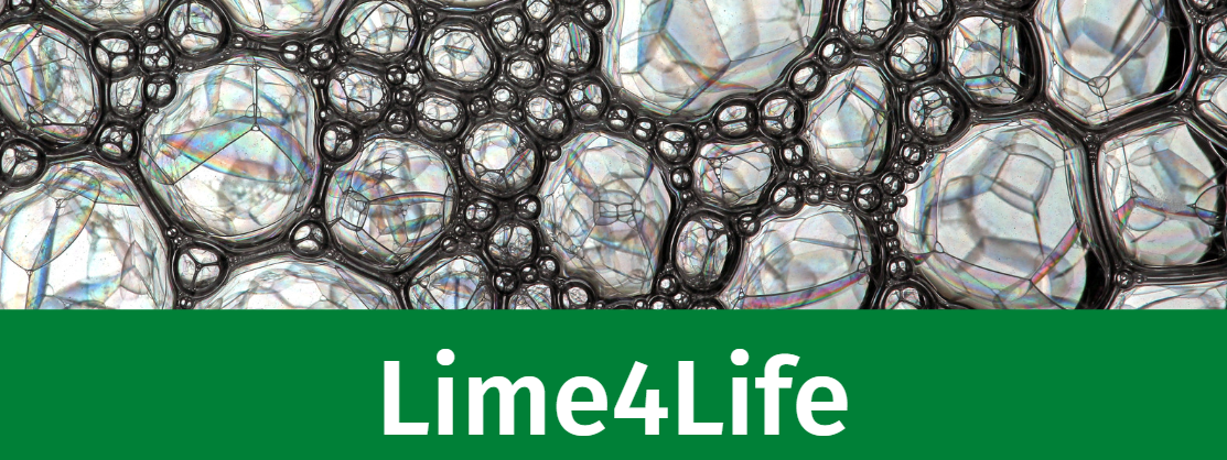 LIME4LIFE: Premium, Carbon-Neutral Lime Now Available for Purchase ...