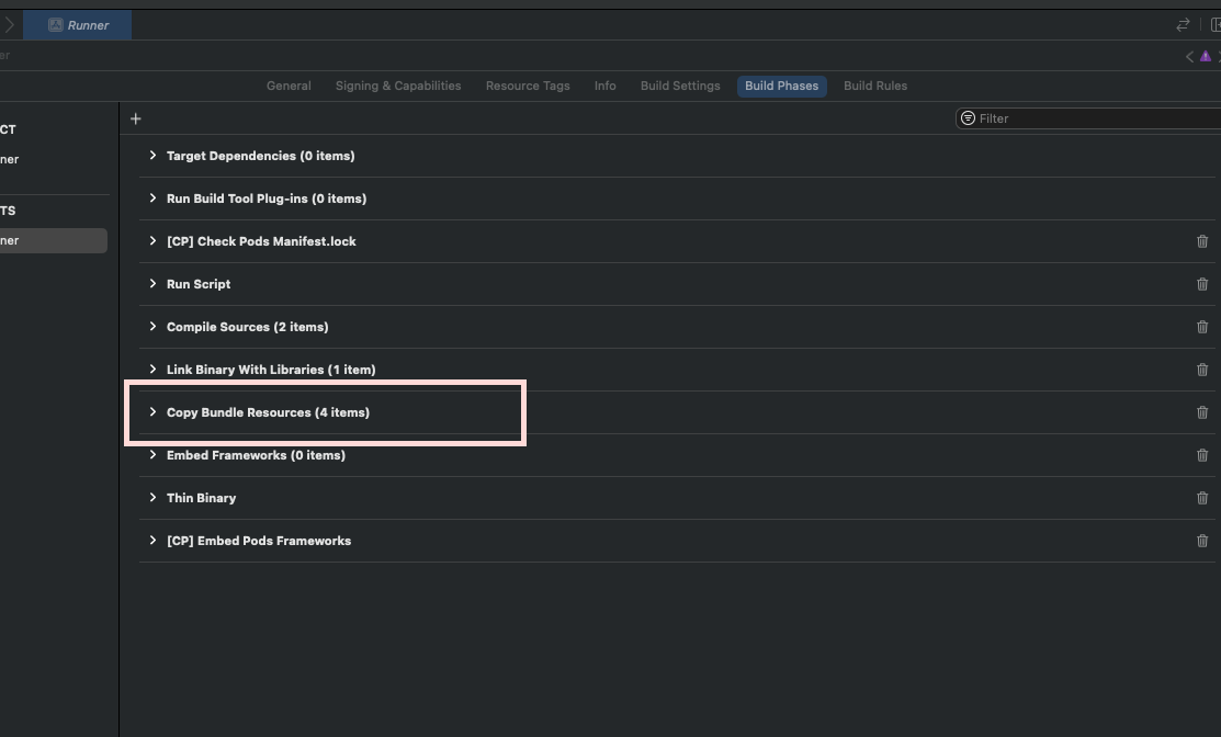 Cycle inside Runner; building could produce unreliable results. Cycle details: → Target ‘Runner ...