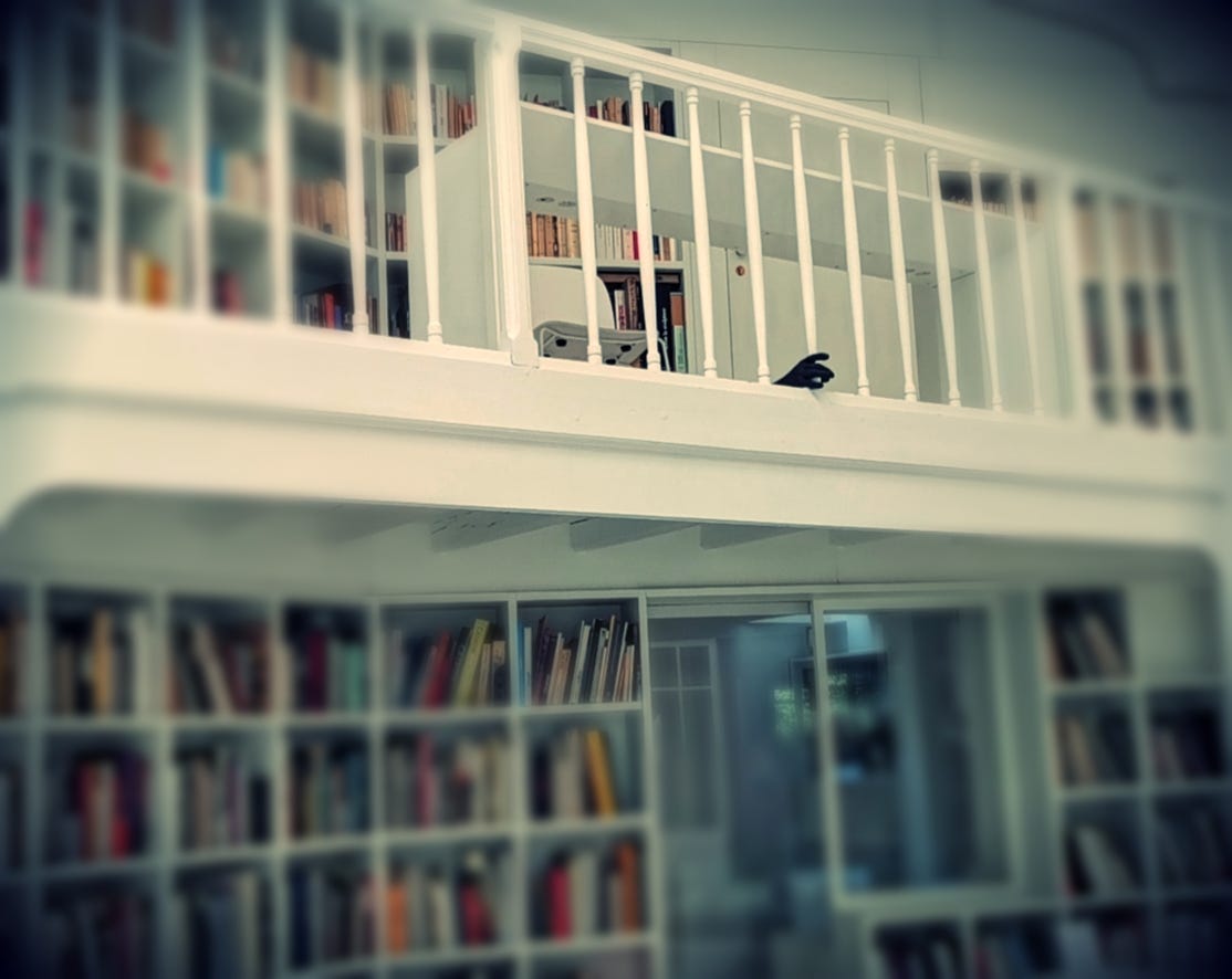 Le moment du réveil. Agnès Zhang— 22 mai 2020 | by À PRÉSENT | Medium