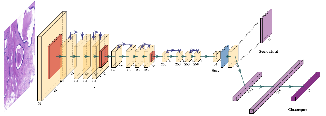 Review — Learning to Segment Images with Classification Labels | by Sik ...