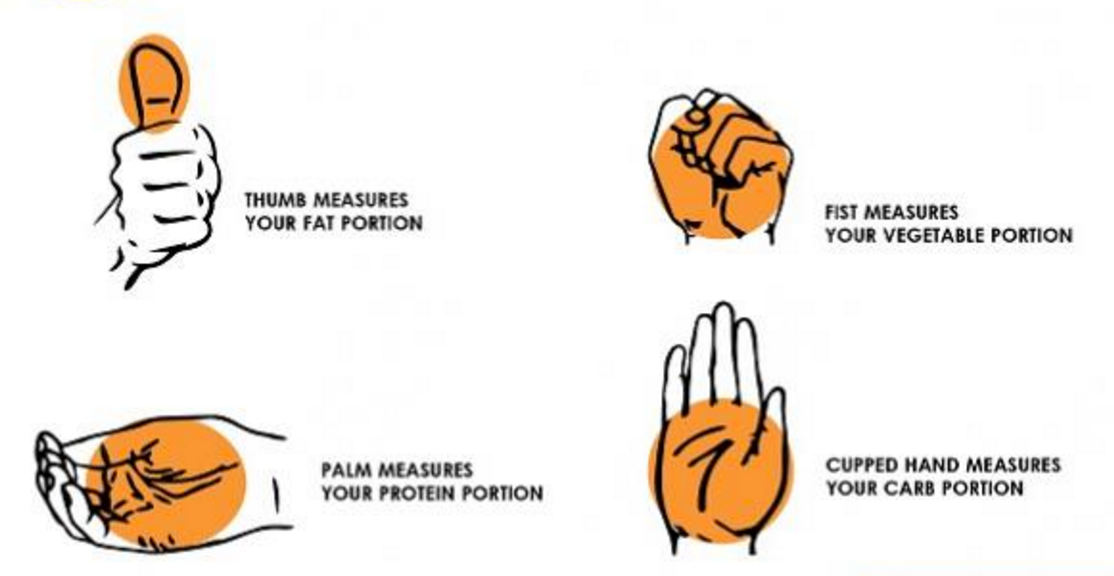 Size Does Matter: Some tips on measuring your portion sizes | by Meisha ...