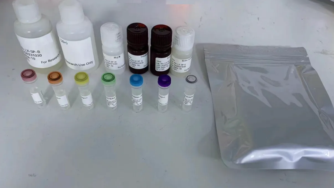 Practical Applications of DNA Quantitative Assay Kits | Medium