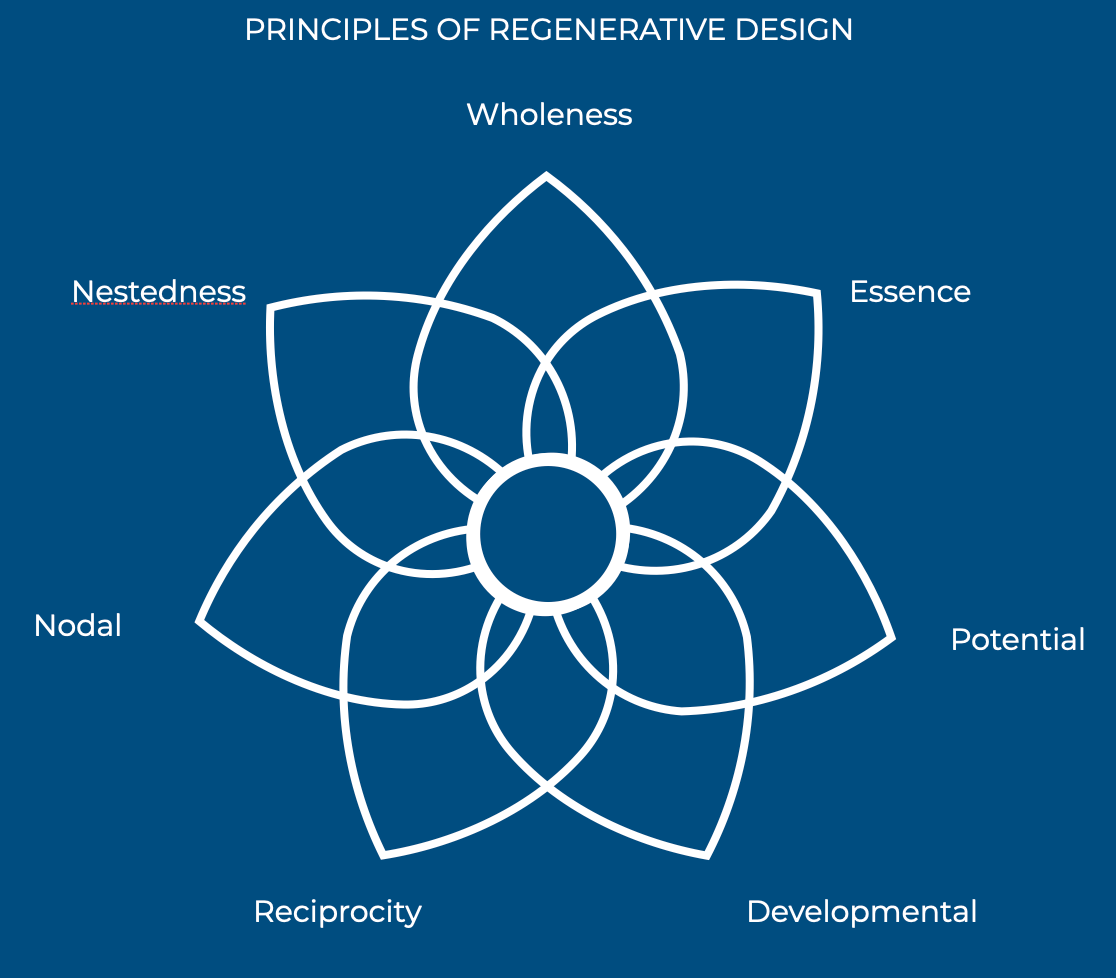 The Seven Principles of Regenerative Design | by Ernesto van Peborgh ...