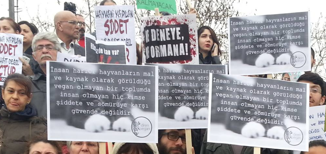 Hayvan koruma yasası, nasıl bu noktaya geldi, buradan nereye? | by Berk ...