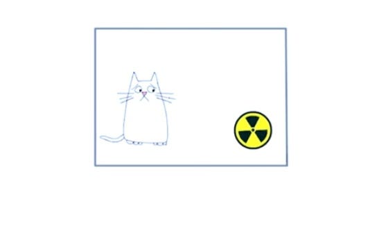 Gato De Schrodinger Memes Freedom For Schroedinger's Cat Wissenschaft