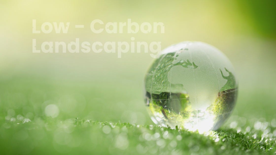What is Low-Carbon Landscaping?. The interrelated systems of soil… | by ...