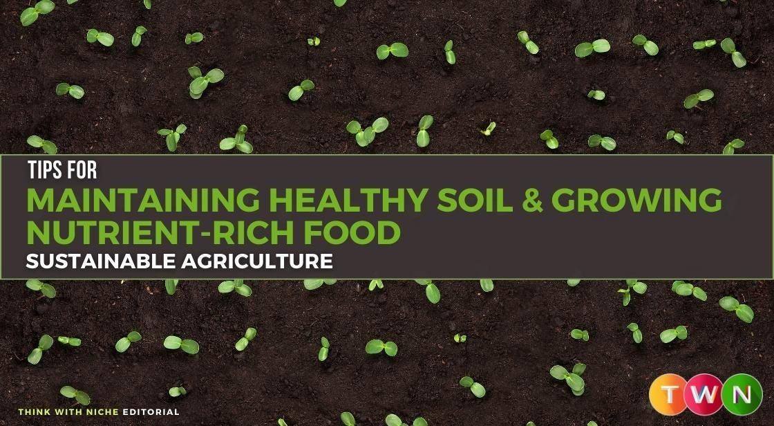 Tips for Maintaining Healthy Soil and Growing Nutrient-Rich Food ...