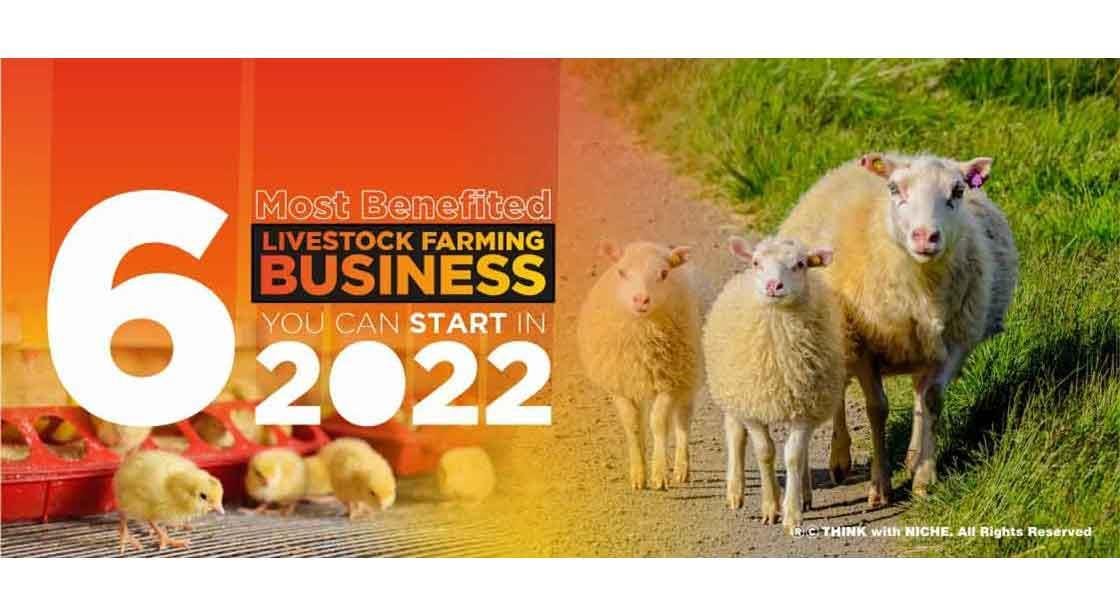 6 Most Benefitted Livestock Farming Business to Start In 2022 | by ...