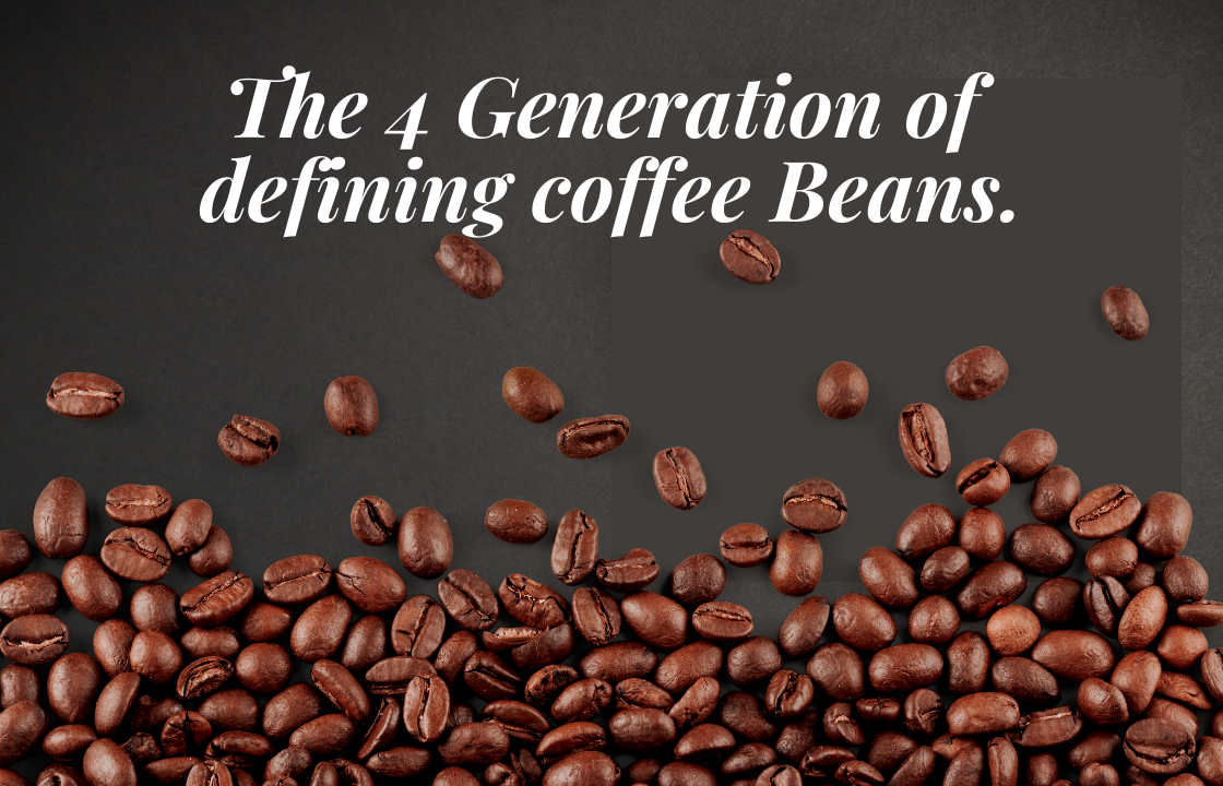 Four Generations Of Defining Coffee Beans. | by Umeshumi | Medium