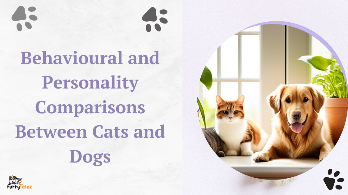 𝐁𝐞𝐡𝐚𝐯𝐢𝐨𝐮𝐫𝐚𝐥 𝐚𝐧𝐝 𝐏𝐞𝐫𝐬𝐨𝐧𝐚𝐥𝐢𝐭𝐲 𝐂𝐨𝐦𝐩𝐚𝐫𝐢𝐬𝐨𝐧𝐬 𝐁𝐞𝐭𝐰𝐞𝐞𝐧 𝐂𝐚𝐭𝐬 𝐚𝐧𝐝 𝐃𝐨𝐠𝐬 ...