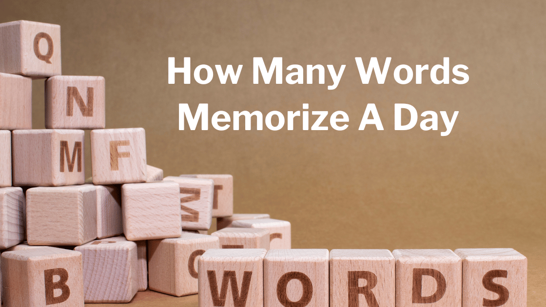 How Many Words Memorize A Day - Google Word Coach - Medium