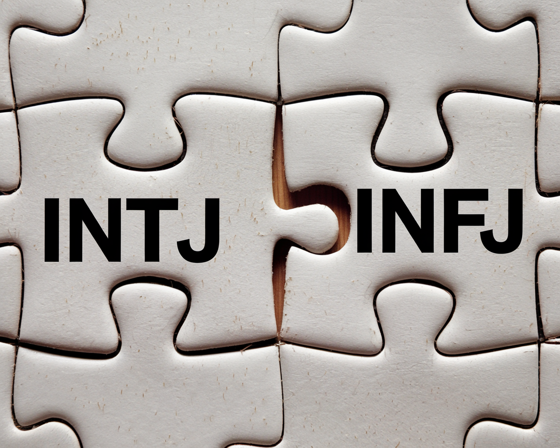 INTJ and INFJ Compatibility: Do Opposites Really Attract or Clash? | by ...