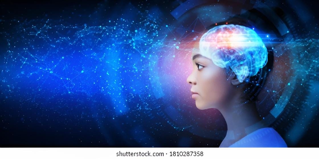 The Female Brain: Why Women Think Differently Than Men | by Talib ...