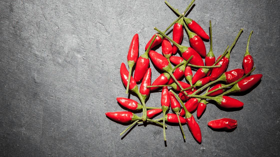 Bird’s Eye Chili: Heat from the Heart of Africa | by Smoky Hazel | Medium