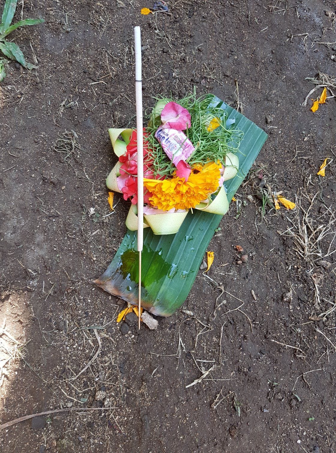 Sanur. Notre première semaine en Asie | by Ulrik Nissen | Medium