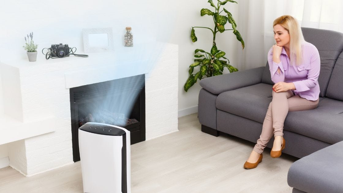 Drying Out the Air: The Ultimate Guide to Understanding and Using a ...