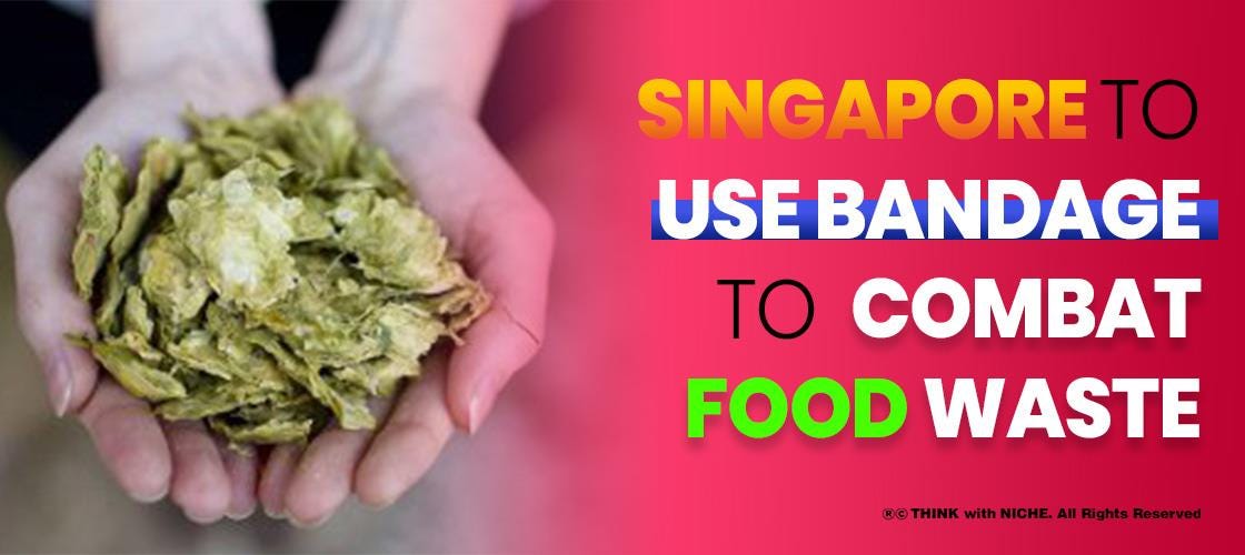 Singapore to use bandage to combat food waste | by Rajat Verma | Medium