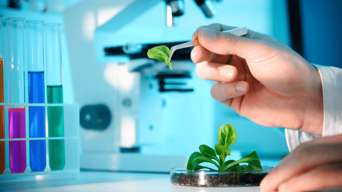 7 Biotech Innovations Ready to Transform the Spice Industry | by Smoky ...
