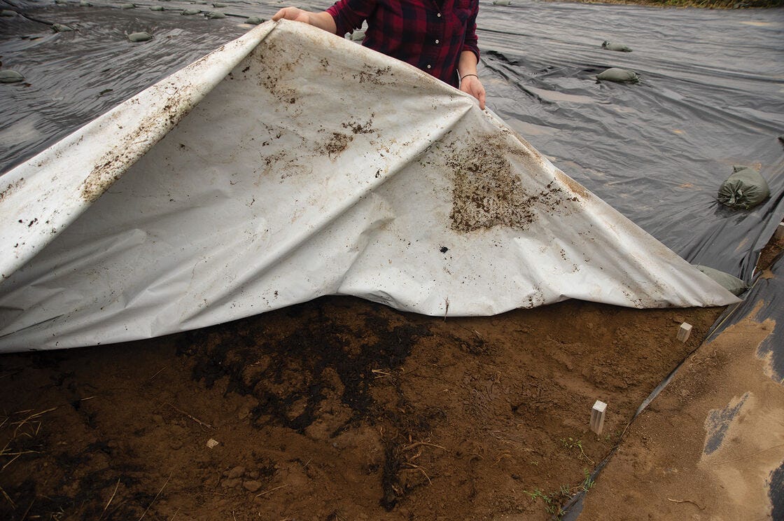An Introduction to Silage Tarps. What is silage and what are silage by Piedmont Pastures Medium