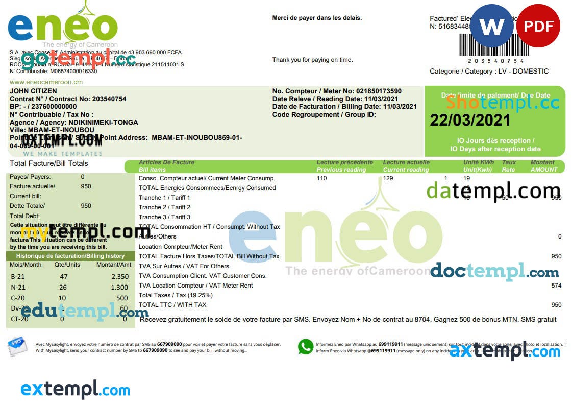 Cameroon ENEO electricity utility bill template in Word and PDF format (current version) | by ...