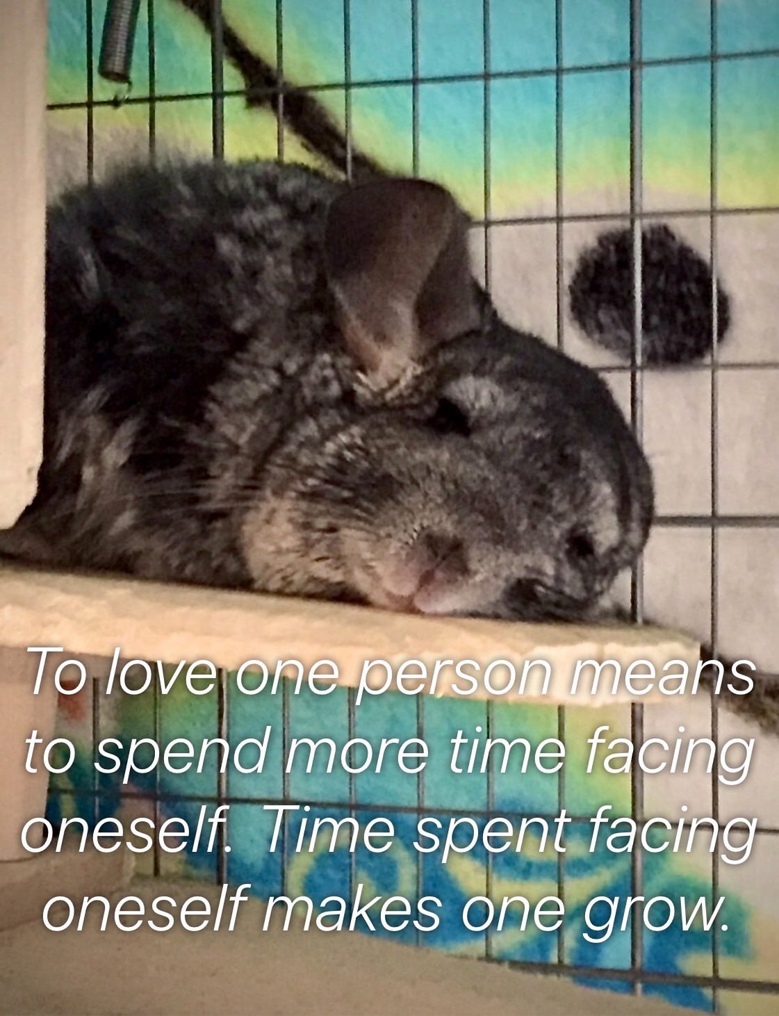 Time spent facing oneself makes one grow. - ASUKA - Medium