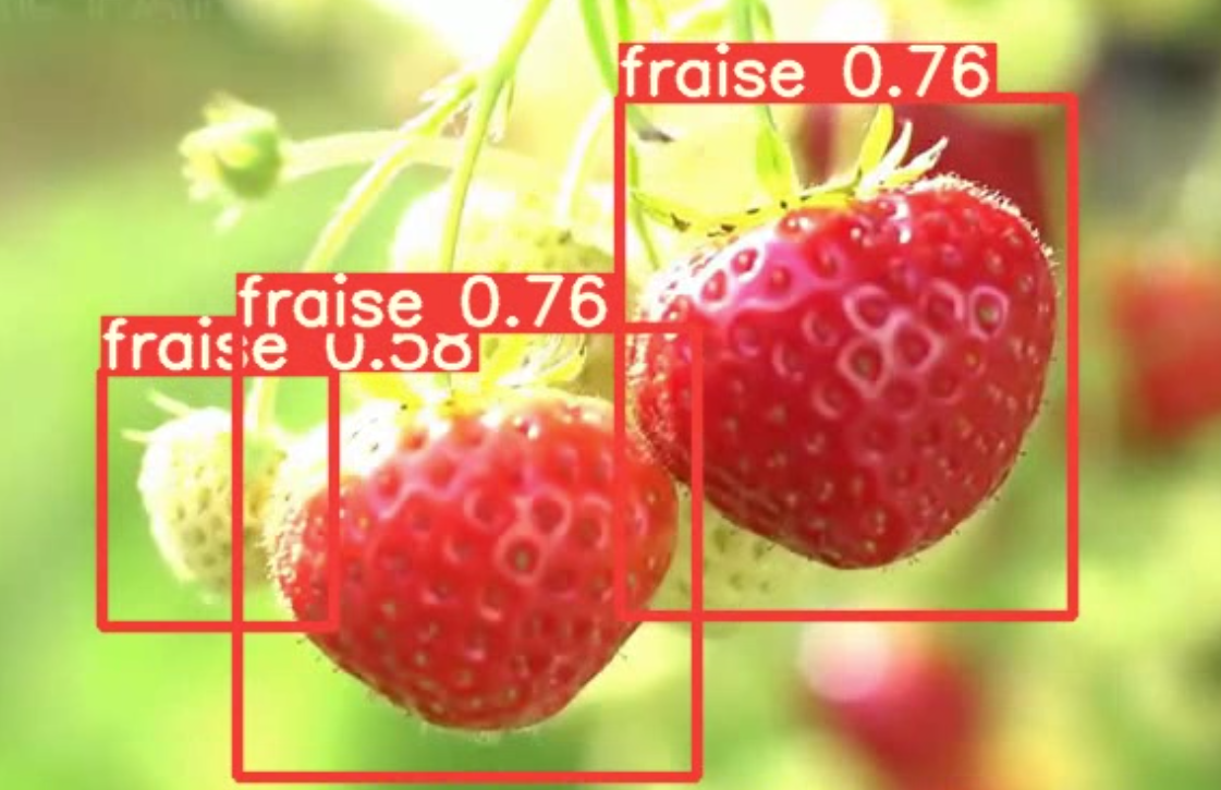 Object Detection: How To Train a Custom Model With Yolo-V5 | by Mehdi ...