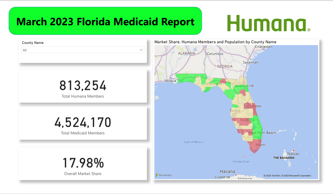 Power BI Medicaid Report Dashboard | by Dylan Creamer | Oct, 2023 | Medium