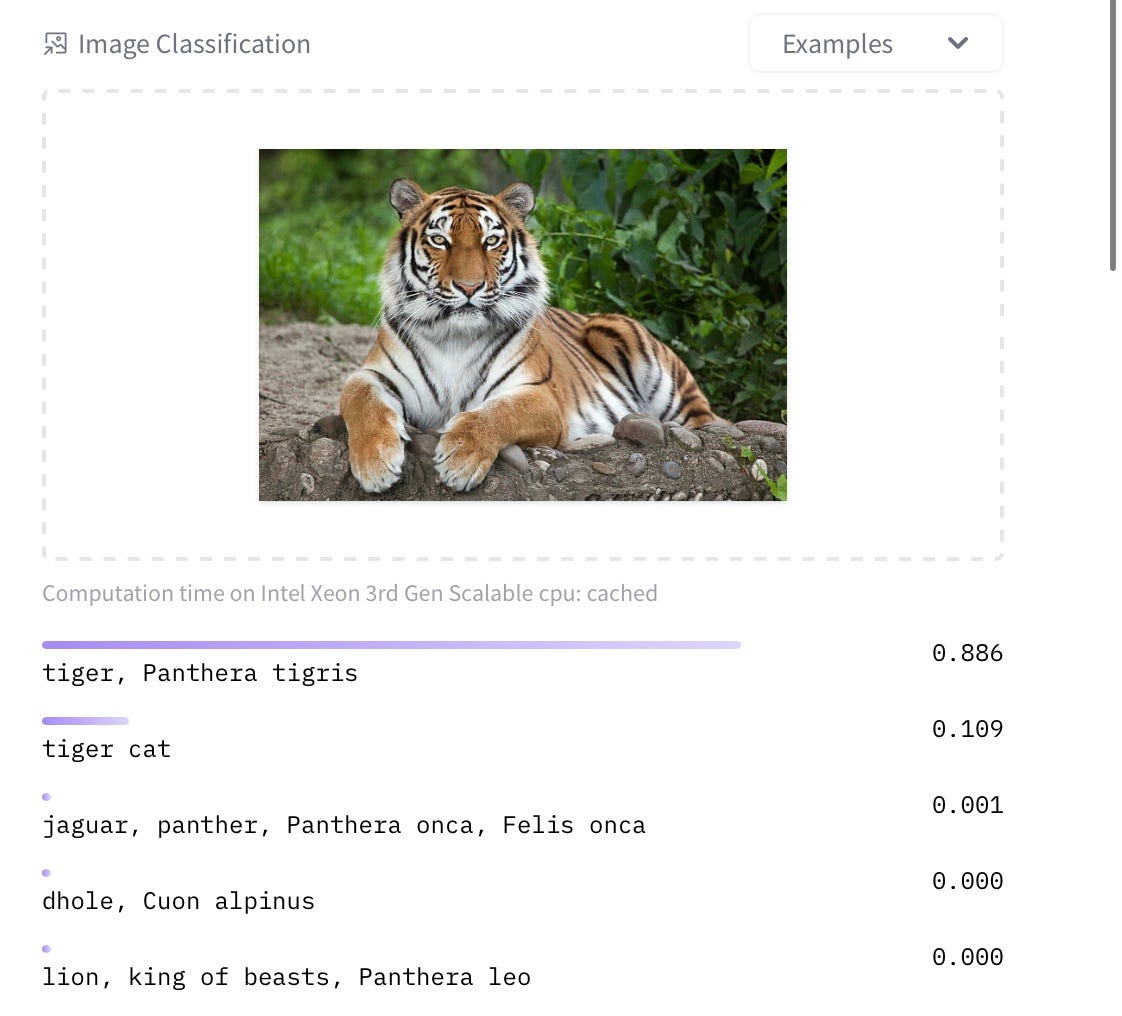 Implementing Google/ViT-Base-Patch16–224 for Image Analysis | by Joshua Soke | Medium