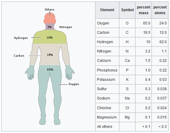 Chemical Elements In The Body