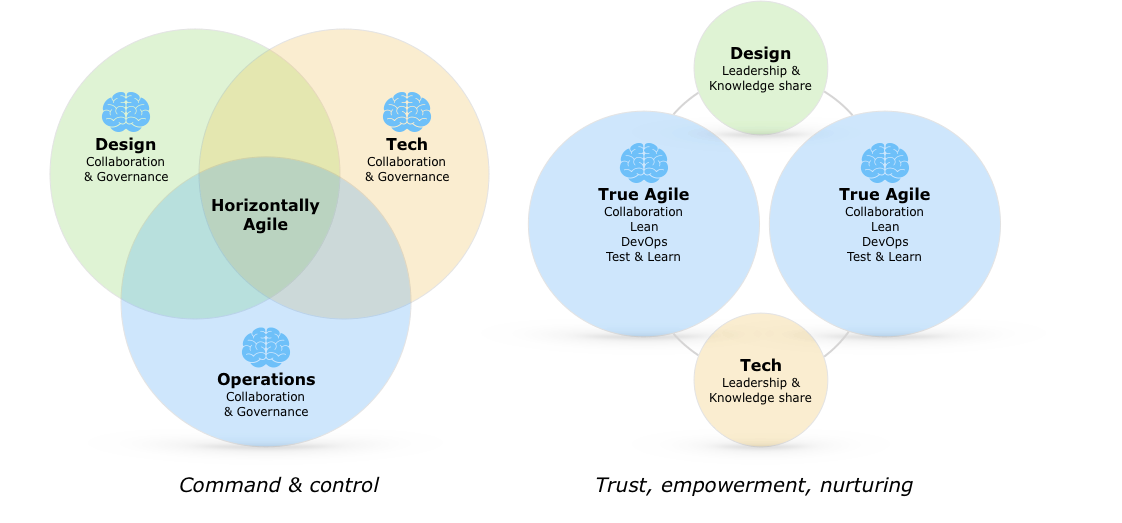 Are you Horizontally Agile?. This article looks at the wider view of ...