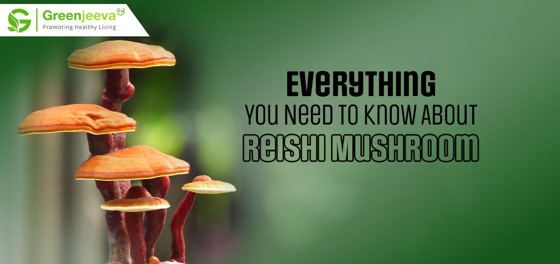Everything You Need to Know About Reishi Mushroom | by Green Jeeva LLC ...