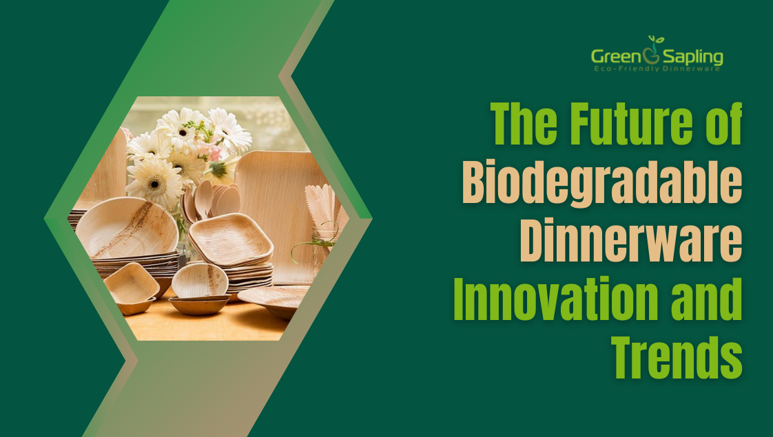The Future of Biodegradable Dinnerware: Innovation and Trends | by ...