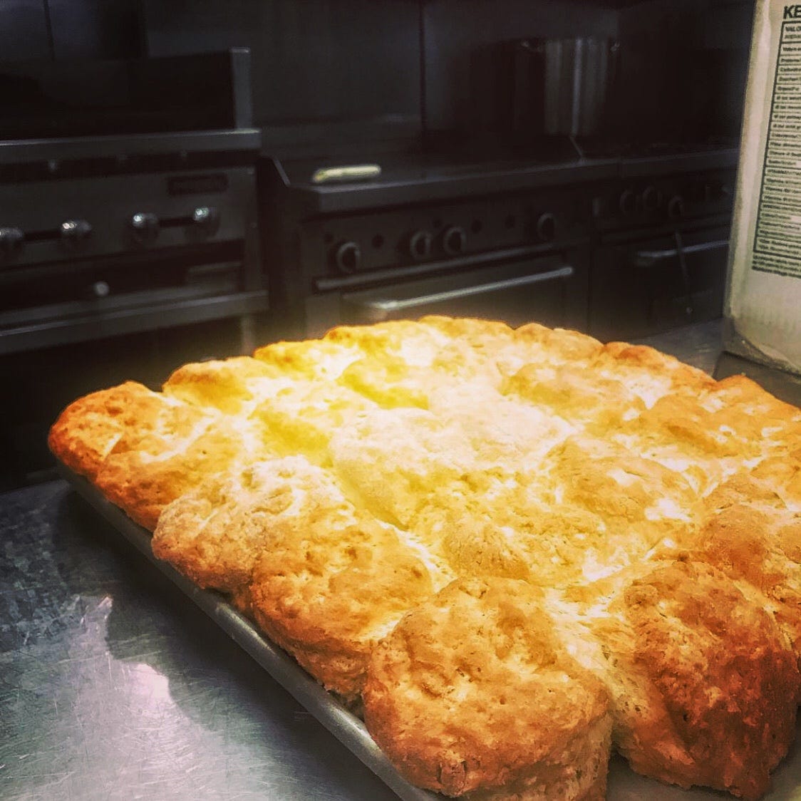 A poem, “My Biscuit Baby”. // | by John Bare | Medium