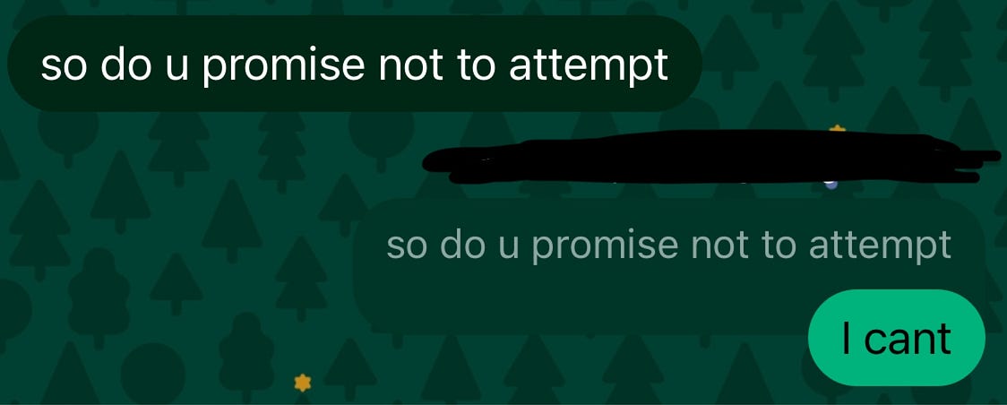 I can’t promise you. I can’t promise you I won’t attempt… | by Lily ...