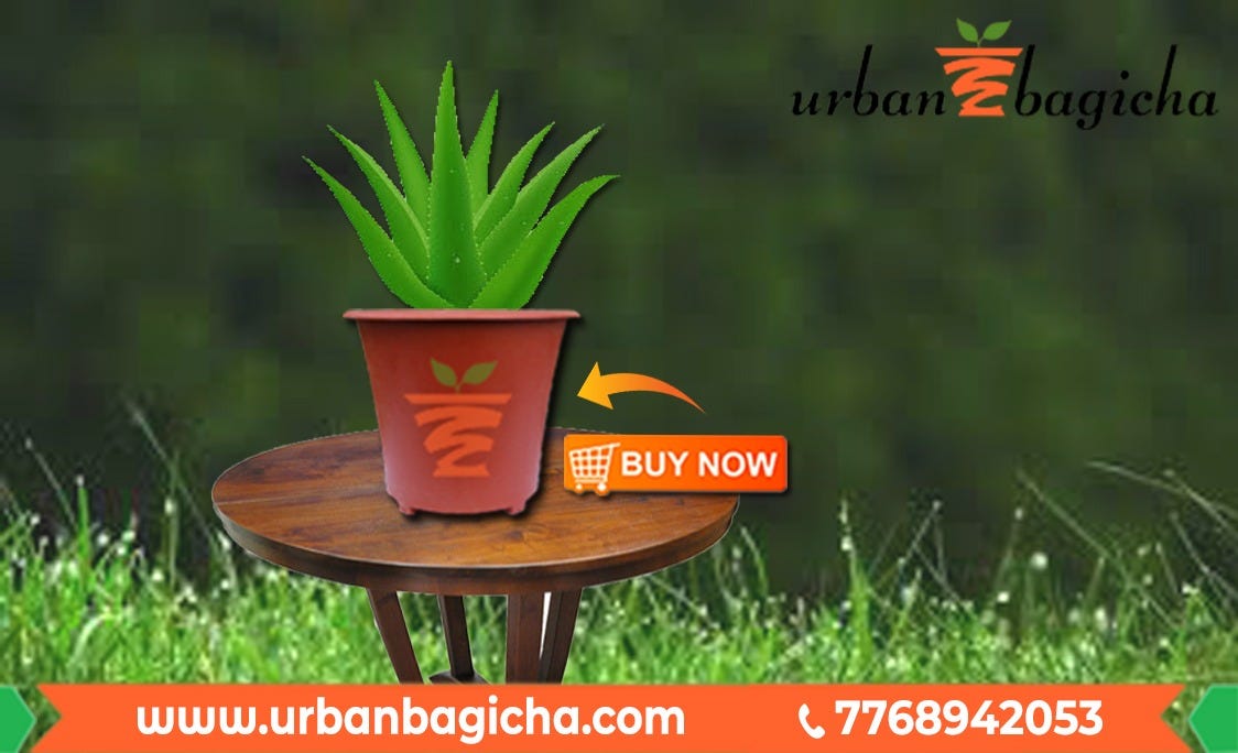 Buy Online Garden Pots for Plants|Flower Pot|Planters|Kundi|Pune India ...