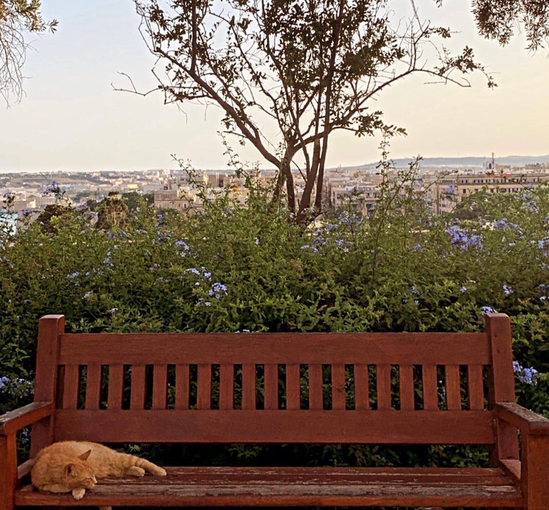 Ventiquattr’ore d’estate a Malta. Luglio 2023 | by Michela Perantoni ...